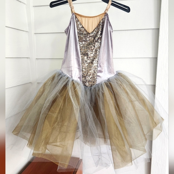 Weissman | Costumes | Dance Costume Weissman Ballet Tutu Silver Gold ...